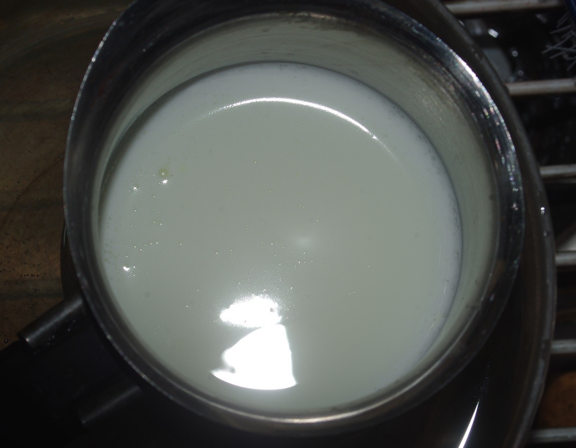 Preparing Casein – Melbourne Camera Club