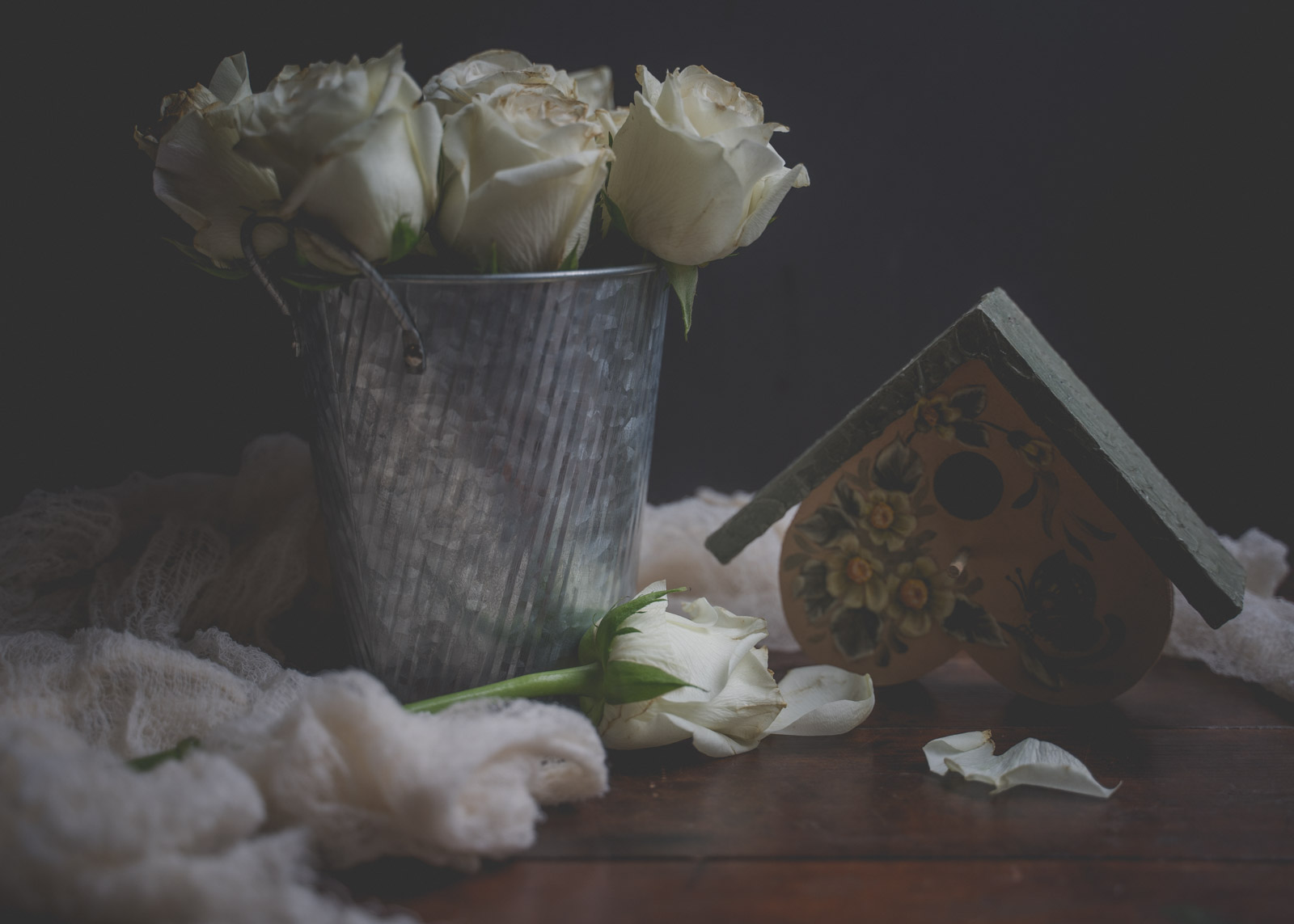 The Art of Still Life Workshop – Melbourne Camera Club