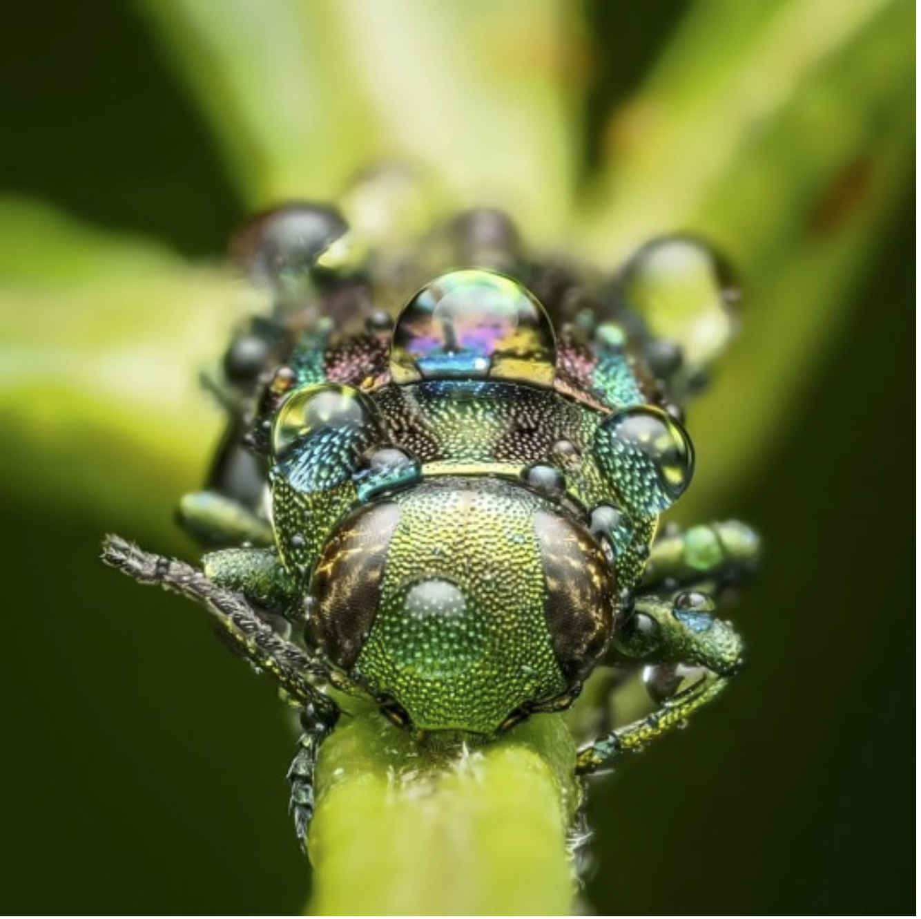 Melbourne Camera Club – A Premium Photography Club in Melbourne