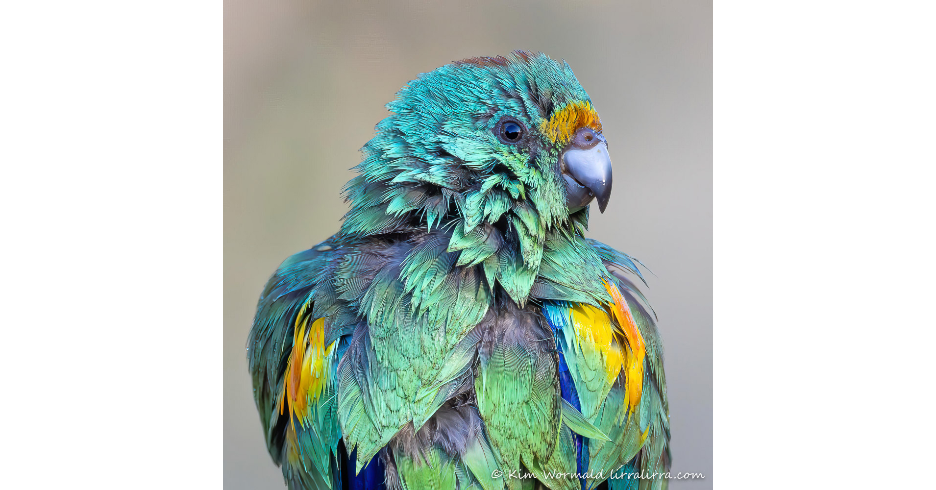 Melbourne Camera Club – A Premium Photography Club in Melbourne