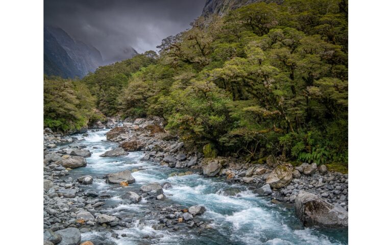 Melbourne Camera Club – A Premium Photography Club in Melbourne