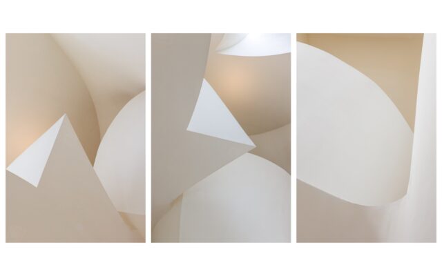 Melbourne Camera Club – A Premium Photography Club in Melbourne