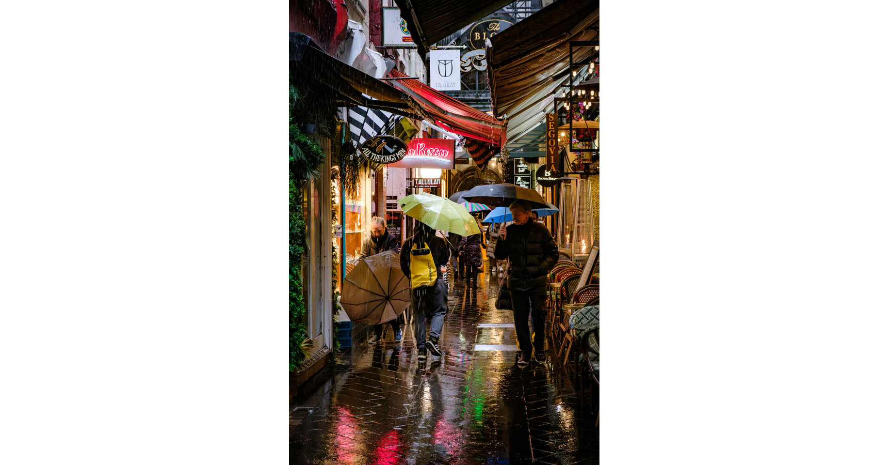 Melbourne Camera Club – A Premium Photography Club in Melbourne